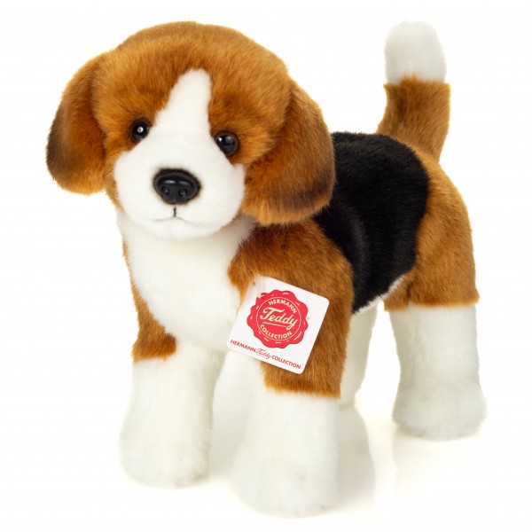 Hermann Original beagle dog, standing. Soft woven plush in white, brown ...